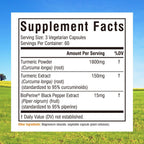 high potency turmeric curcumin supplement
