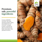 High potency turmeric curcumin supplement
