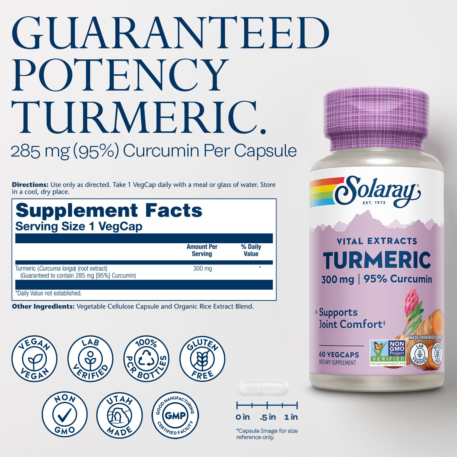 high potency turmeric curcumin supplement