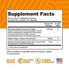 high potency turmeric curcumin supplement
