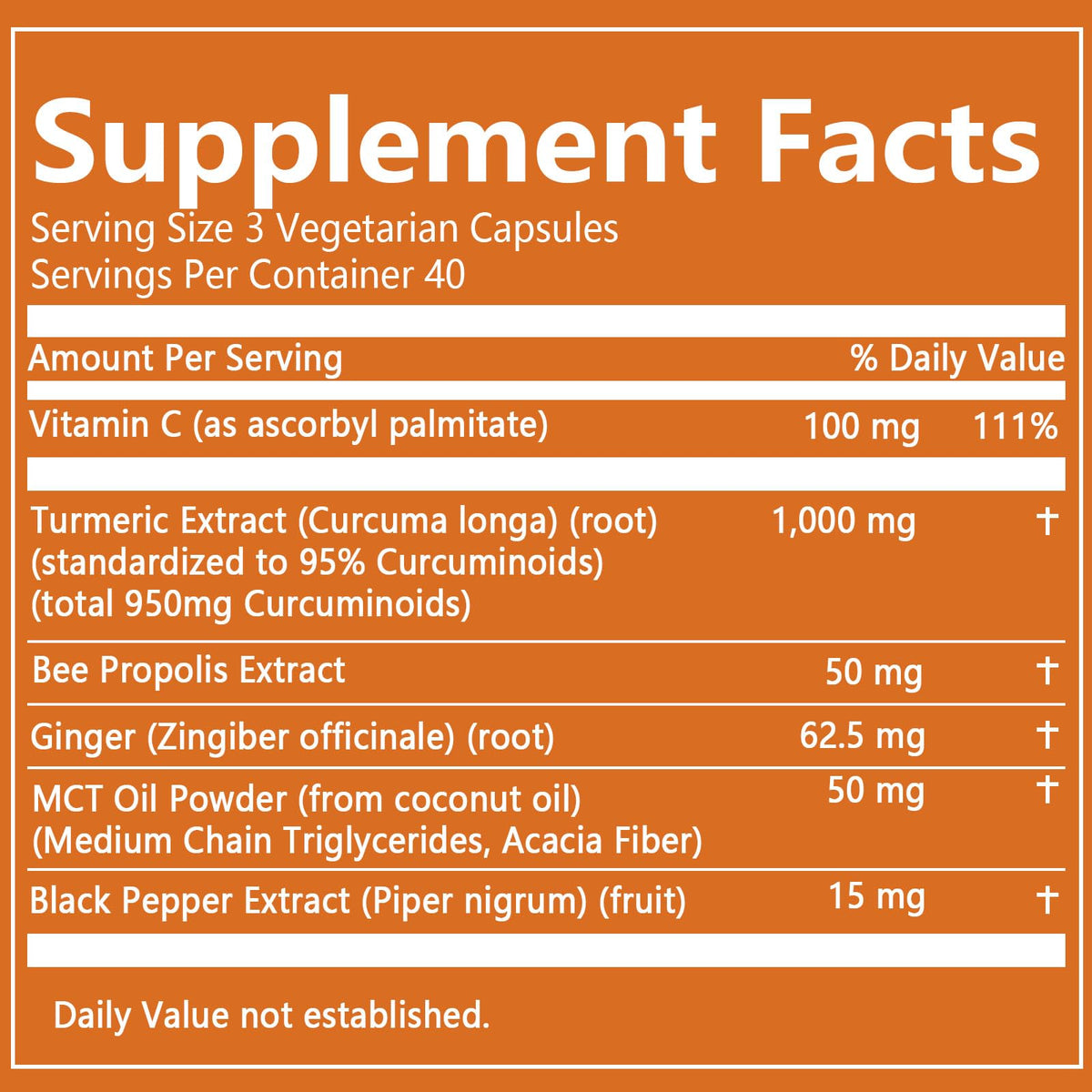 high potency turmeric curcumin supplement
