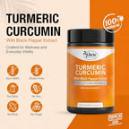 high potency turmeric curcumin supplement