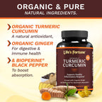 high potency turmeric curcumin supplement