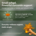 high potency turmeric & curcumin
