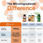 high potency turmeric curcumin