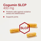 high potency turmeric extract