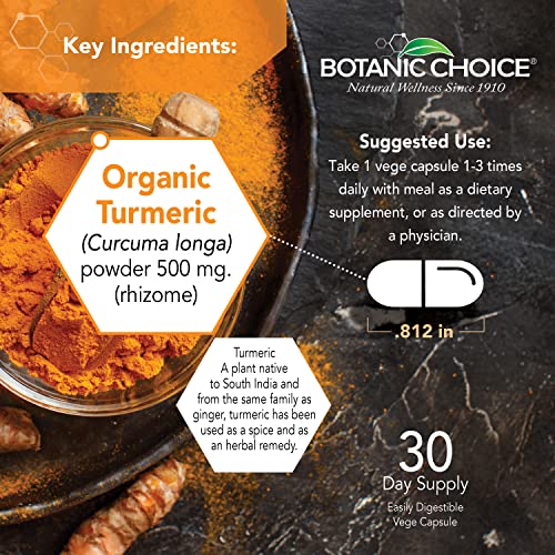 high potency turmeric for daily use