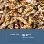 high potency turmeric for joint health