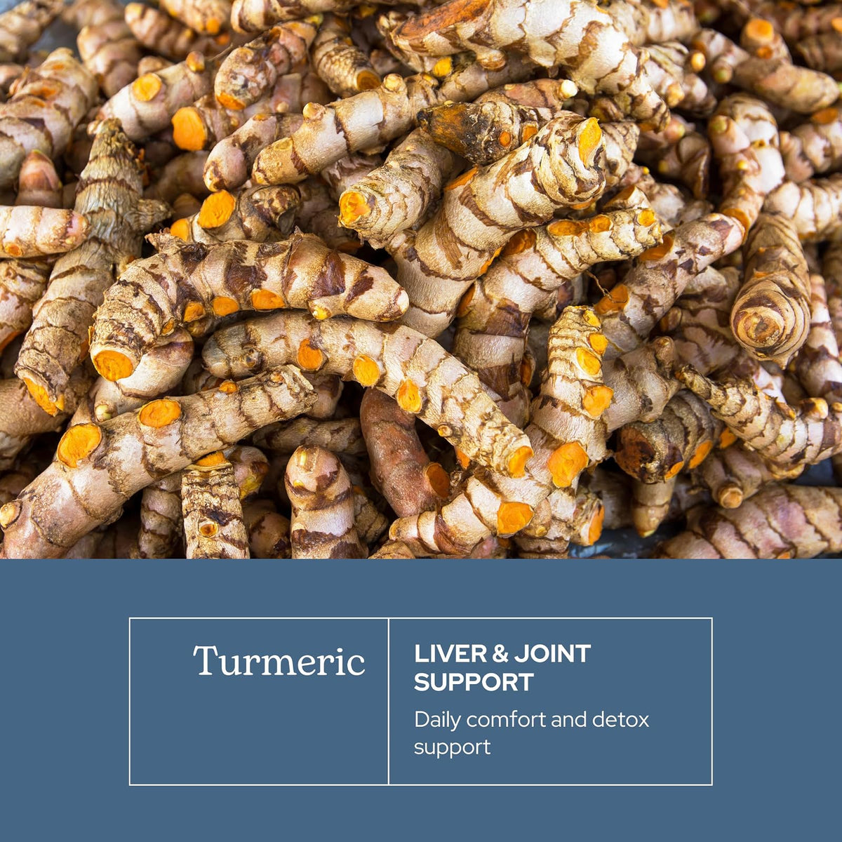 high potency turmeric for joint health