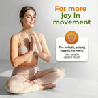 high potency turmeric for joint health
