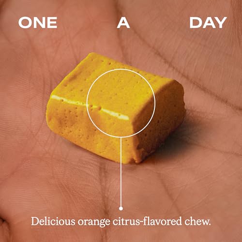 high potency turmeric for joints