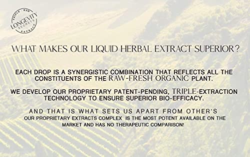 high potency turmeric liquid extract