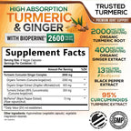 high potency turmeric supplement 2600 mg