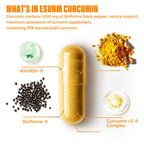 High potency turmeric supplement for wellness