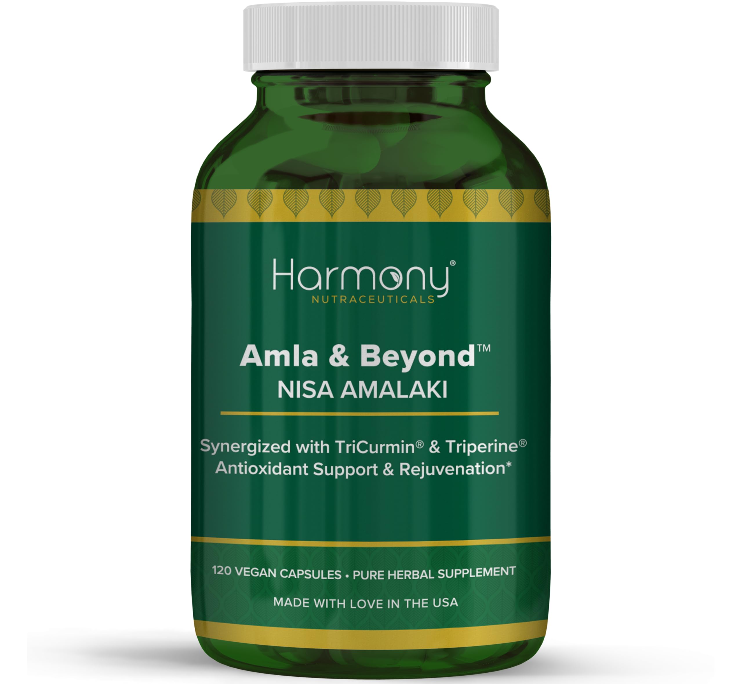 high potency turmeric supplement