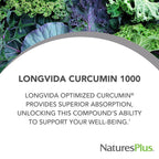 High potency turmeric supplement
