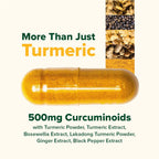high potency turmeric supplements
