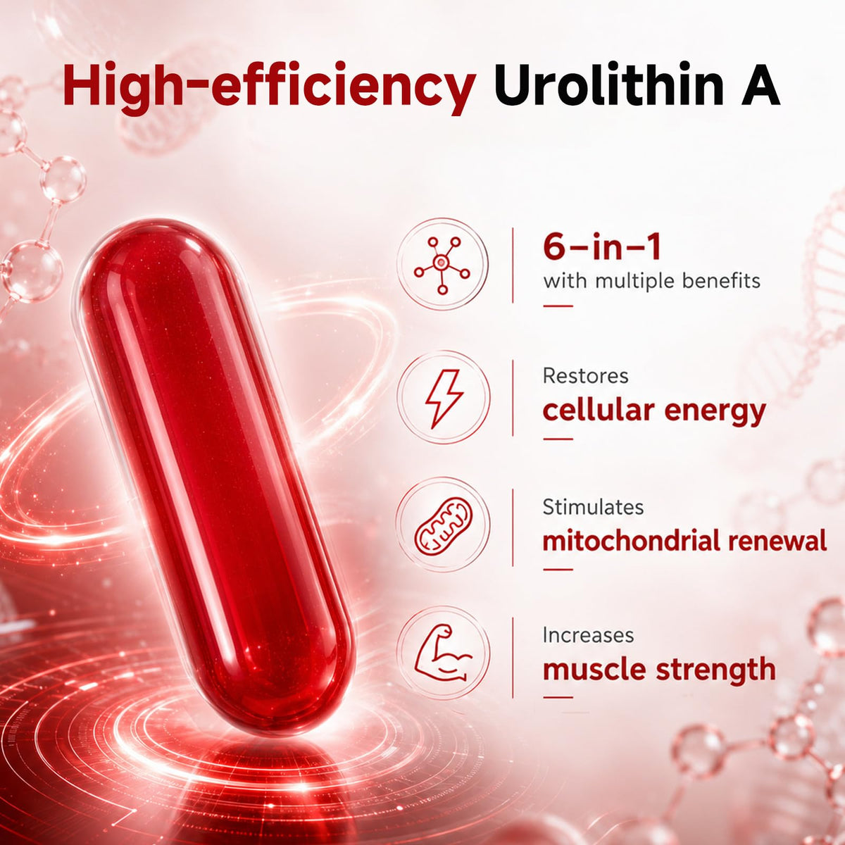 High potency Urolithin A supplement
