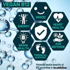 High potency vegan probiotics supplement