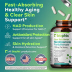 high potency vitamin b complex capsules