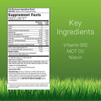 high potency vitamin B complex formula