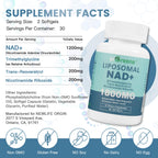 high potency vitamin B complex supplement