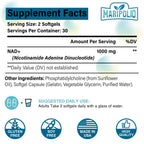 high potency vitamin b complex supplement