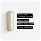 High potency vitamin b complex supplement