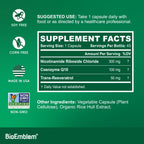 high potency vitamin B complex