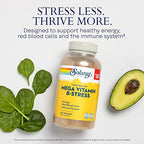 high potency vitamin b complex
