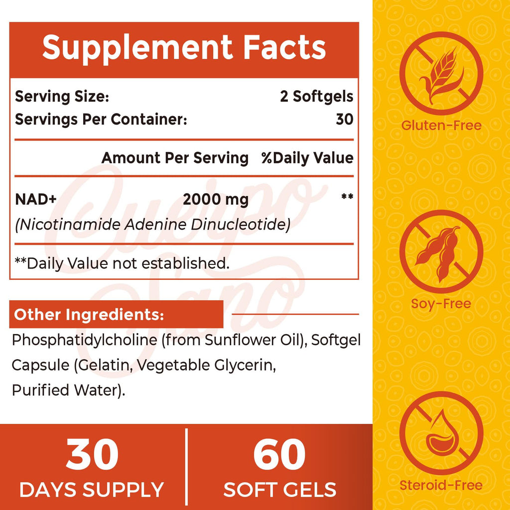 high potency vitamin b complex