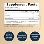 high potency Vitamin B1 supplement