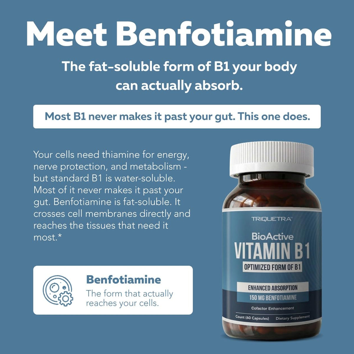 High potency Vitamin B1 supplement