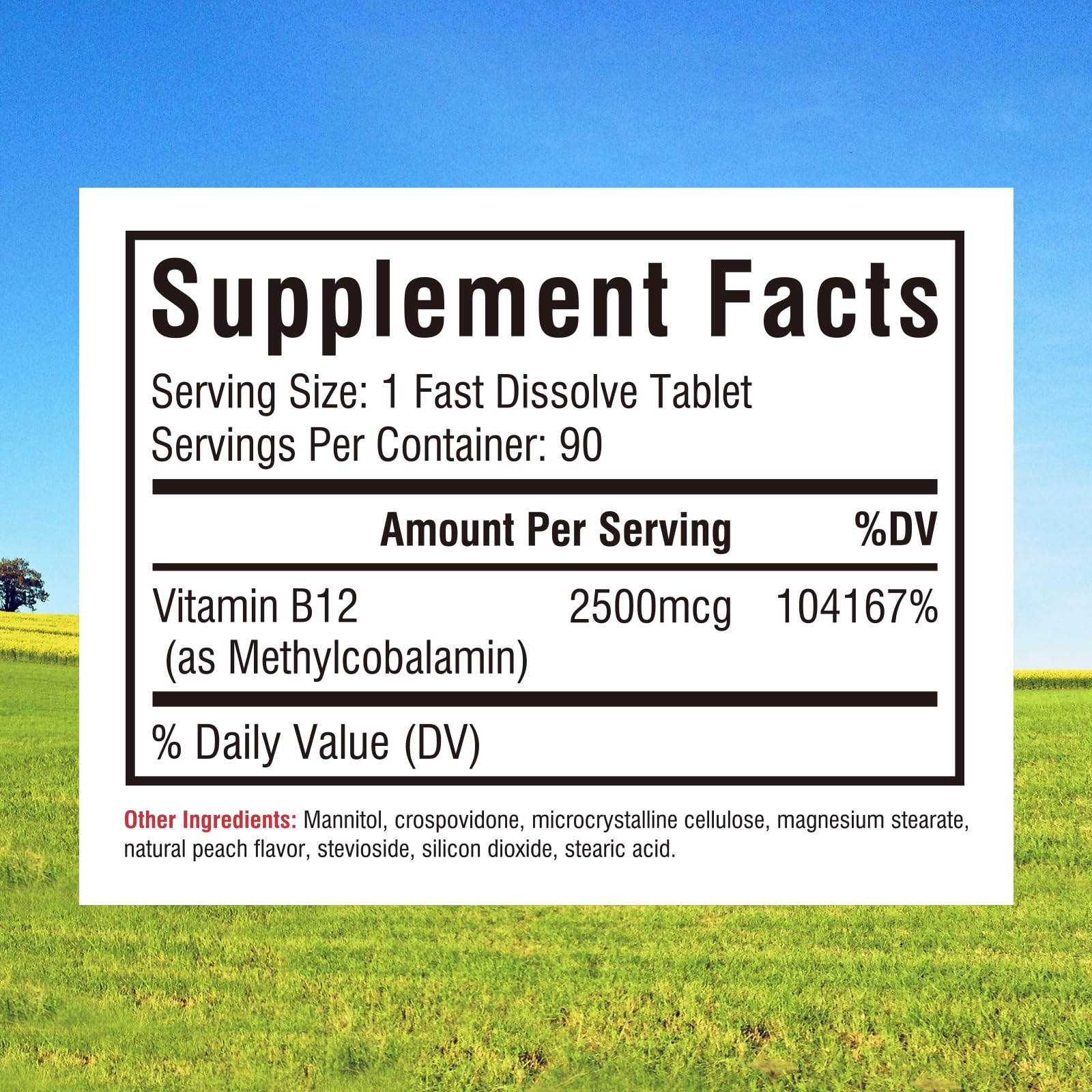 high potency vitamin B12 2500 mcg