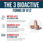 high potency vitamin b12 for fatigue relief