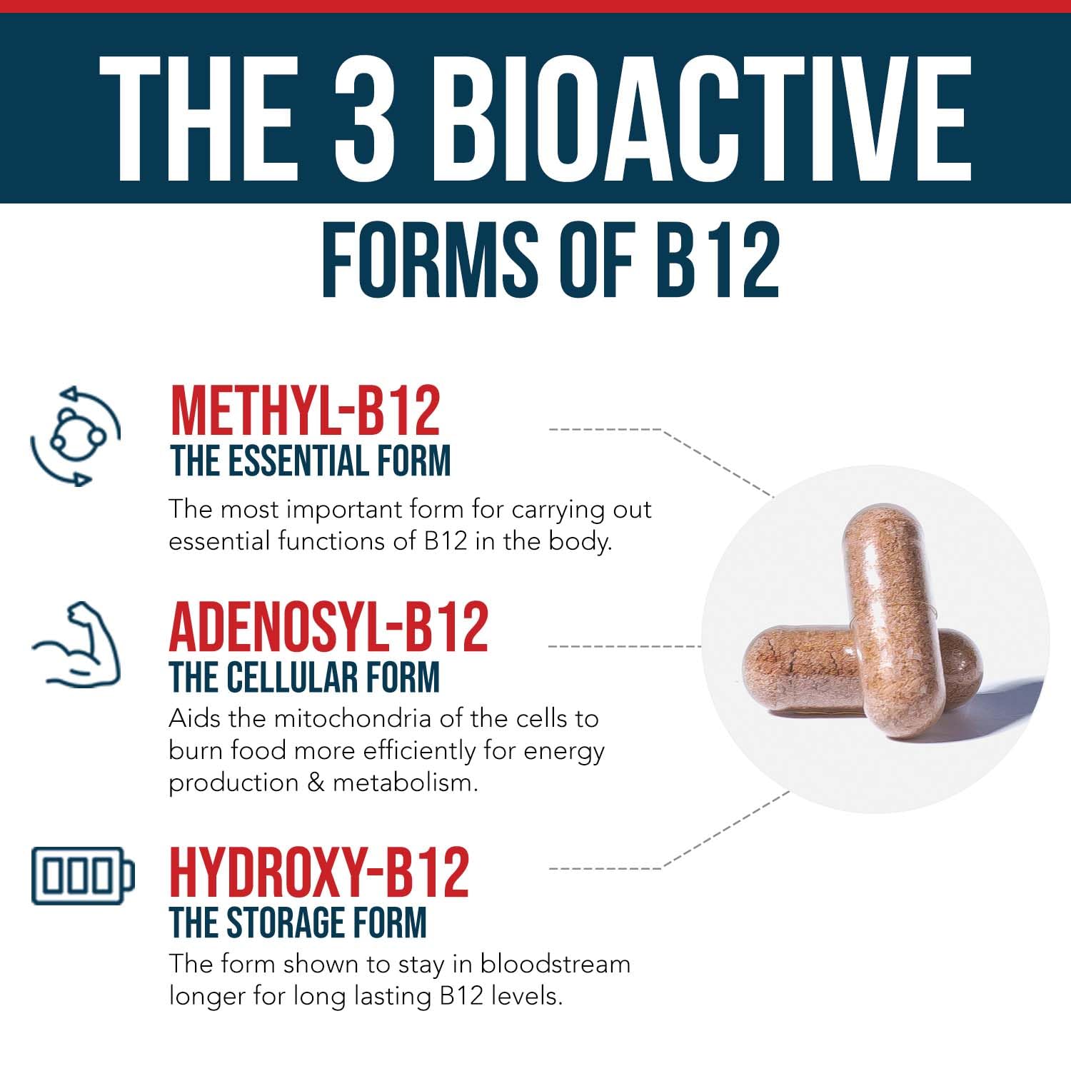 high potency vitamin b12 for fatigue relief