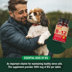 high potency vitamin B12 formula