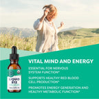 high potency vitamin B12 methylcobalamin