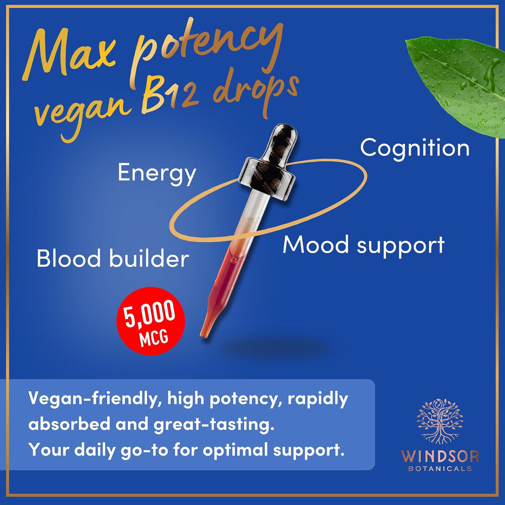 high potency vitamin b12 methylcobalamin