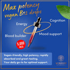 high potency vitamin b12 methylcobalamin