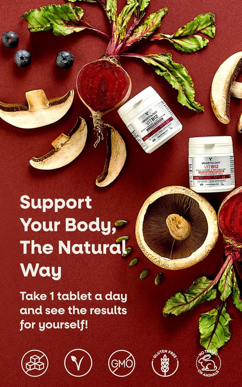 high potency vitamin B12 sublingual