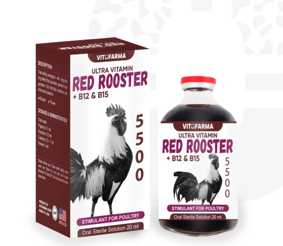 high potency vitamin b12 supplement