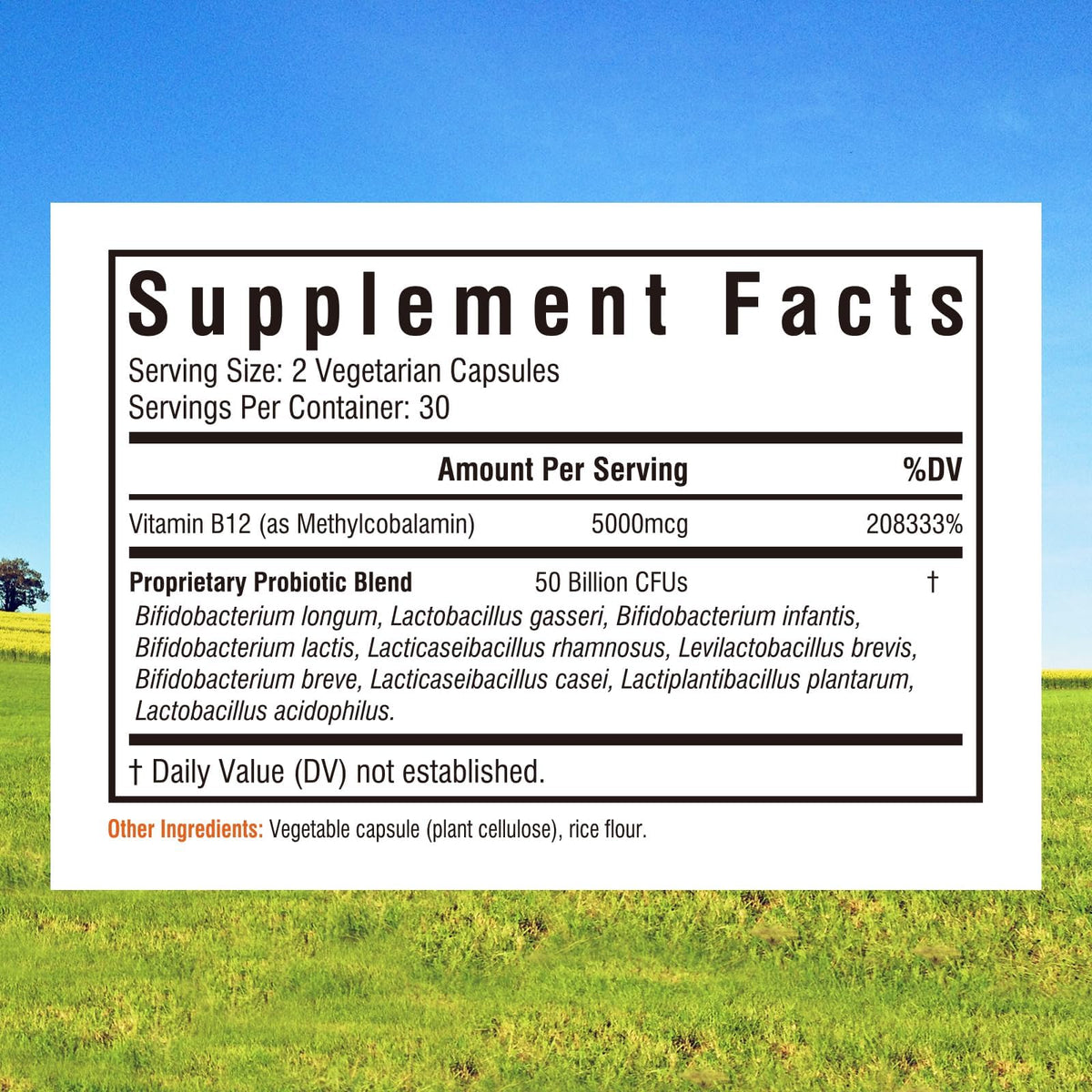 High potency Vitamin B12 supplement