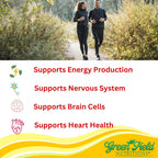 high potency vitamin B12 supplement