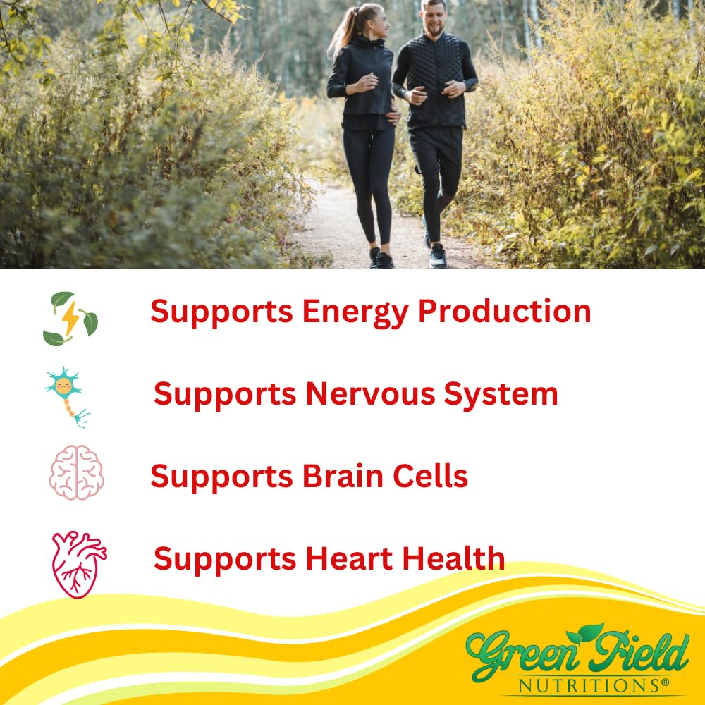 high potency vitamin B12 supplement