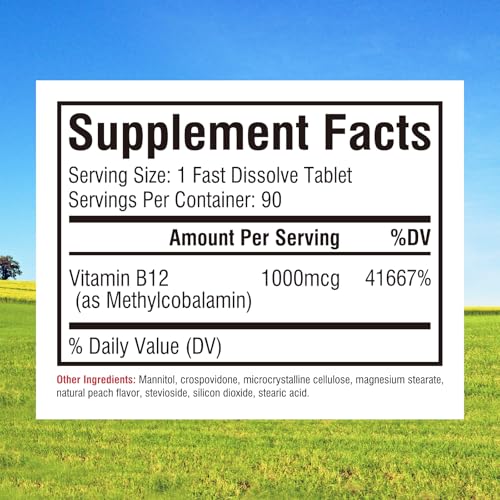 high potency vitamin B12 supplement