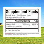 high potency vitamin B12 supplement