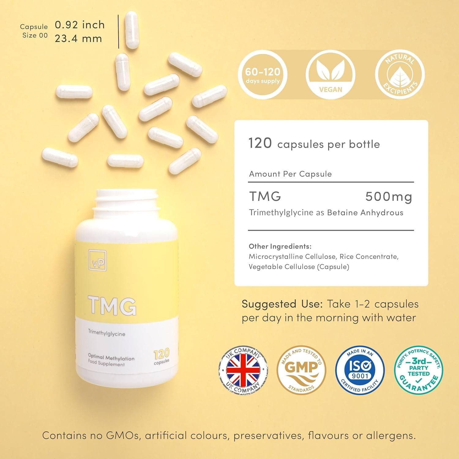 high potency vitamin b12 supplement