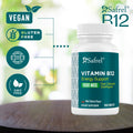 high potency vitamin b12 supplement