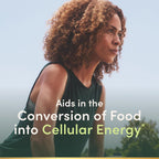 high potency vitamin B12 supplement